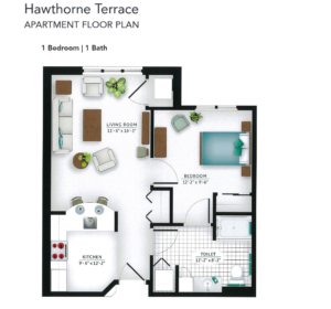 Floor Plan Options - Eliza at Chagrin Falls
